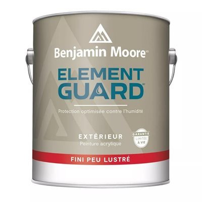 PAINT ELEMENT GUARD